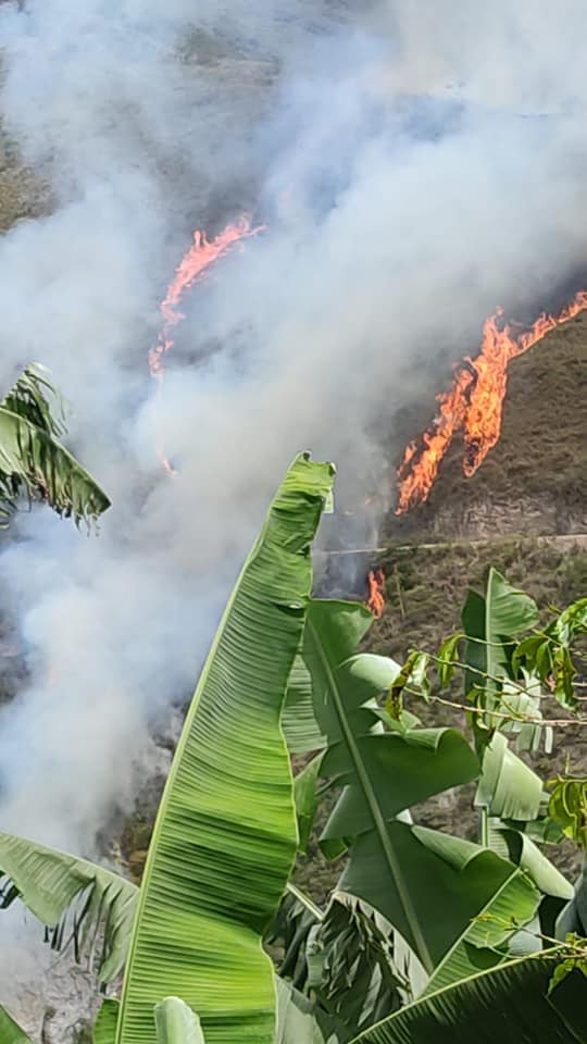 Chicaloma clama ayuda para apagar incendio - El Diario - Bolivia