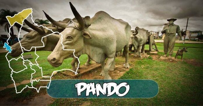 YPFB proyecta $us 73,9 millones de renta petrolera para Pando - El ...