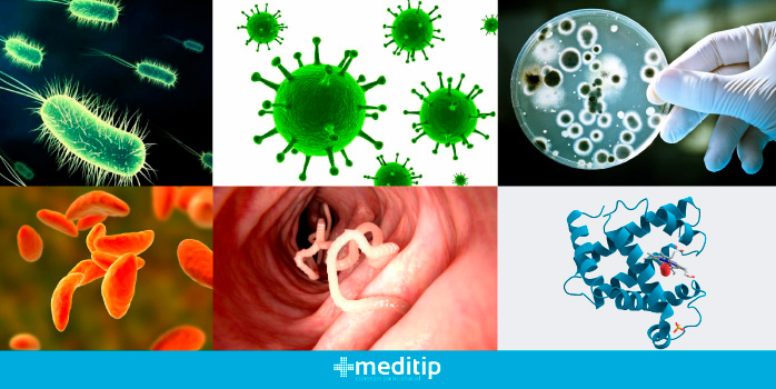 Todo sobre las infecciones y los cuidados para prevenirlas - El Diario ...