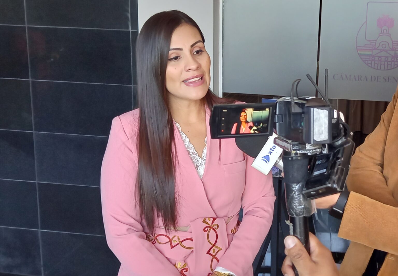 Diputada afirma que se avanza en normas para proteger acuíferos - El ...