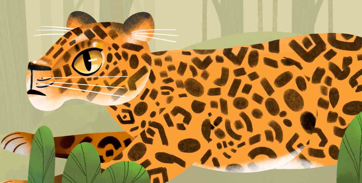 El MUSEF estrena ocho videos animados - El Diario - Bolivia