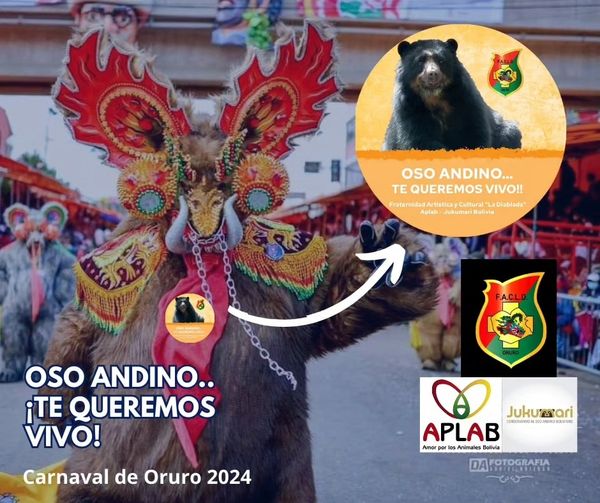 Danza de “La Diablada” promoverá la protección del oso Jukumari - El ...