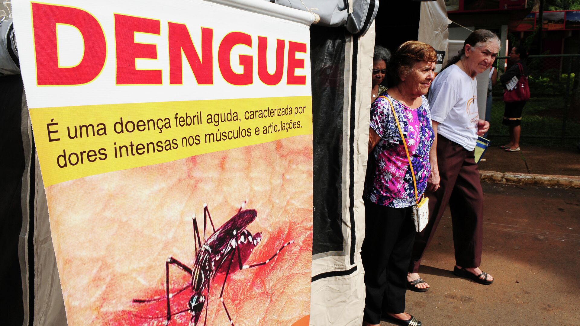 Río de Janeiro en emergencia de salud por brote de dengue - El Diario ...