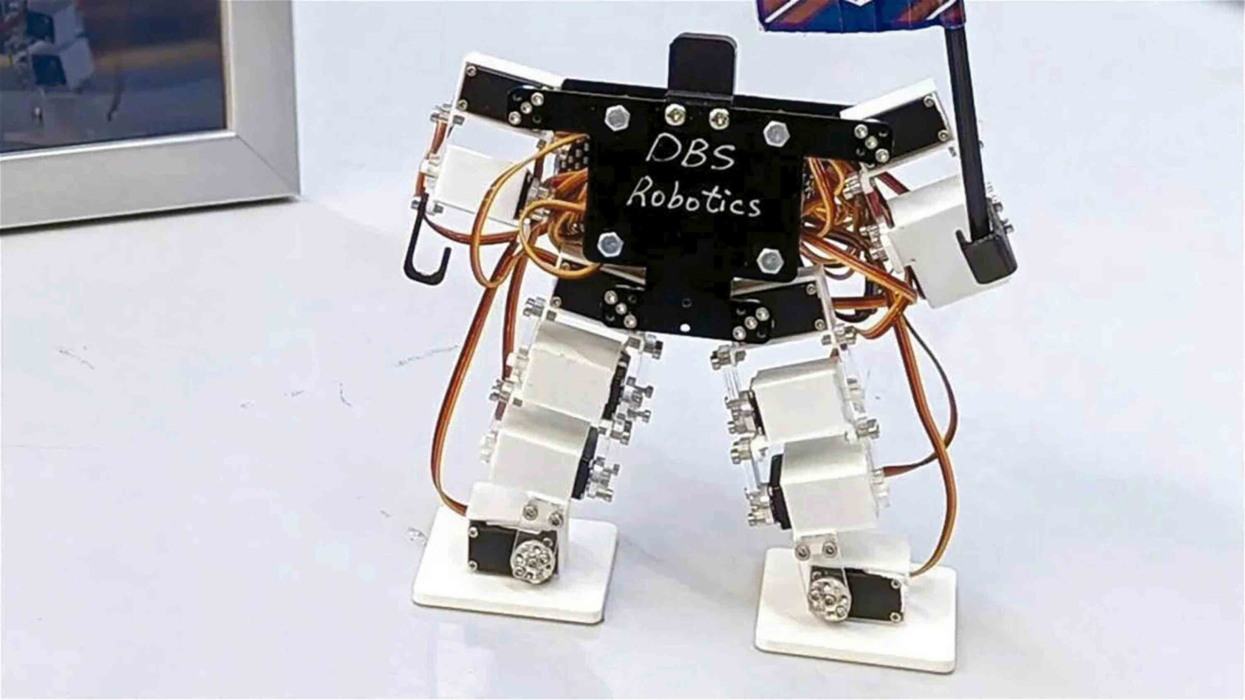 El robot humanoide más pequeño del mundo - El Diario - Bolivia
