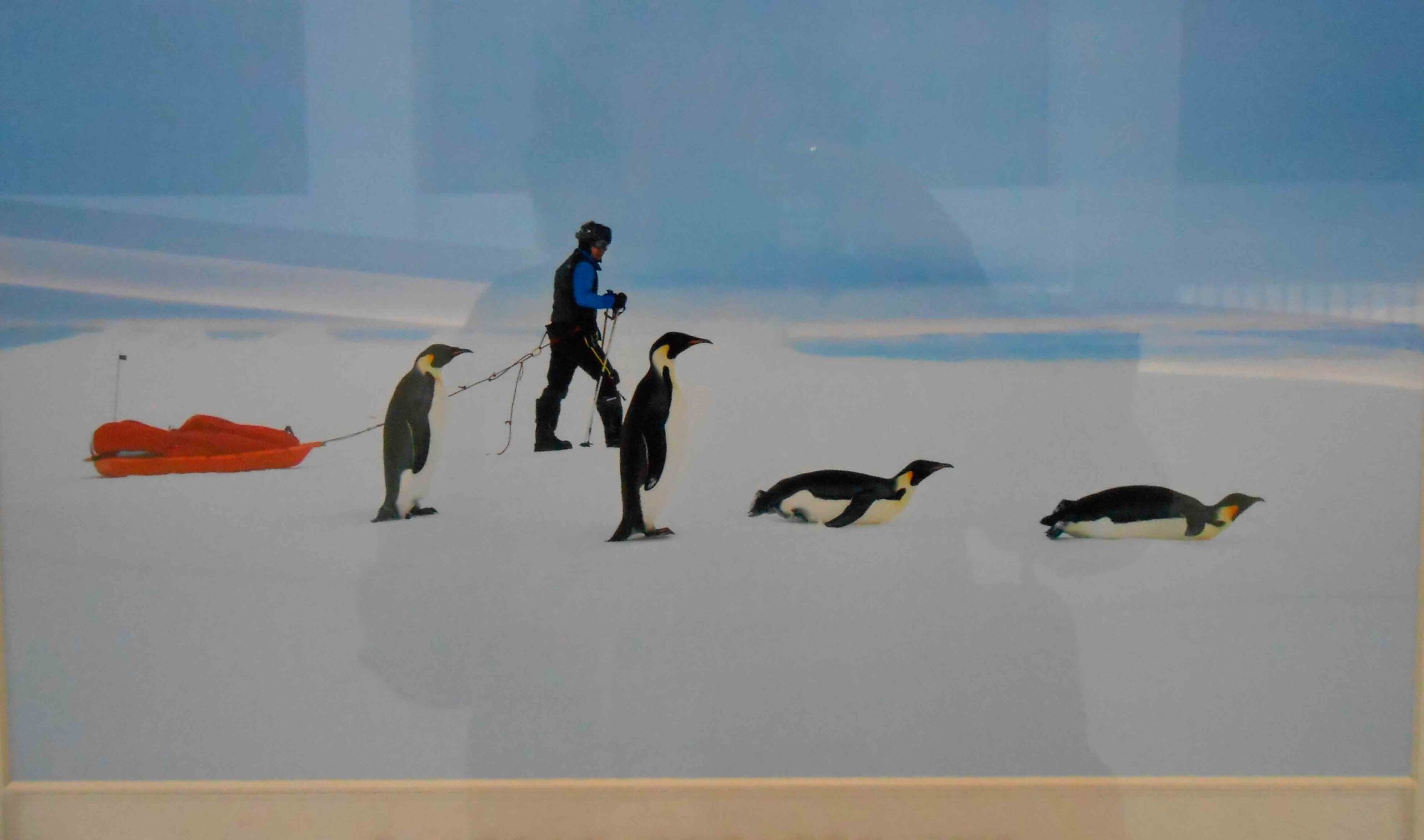 Luo Hong, el artista que atrapa con su lente la riqueza natural - El ...