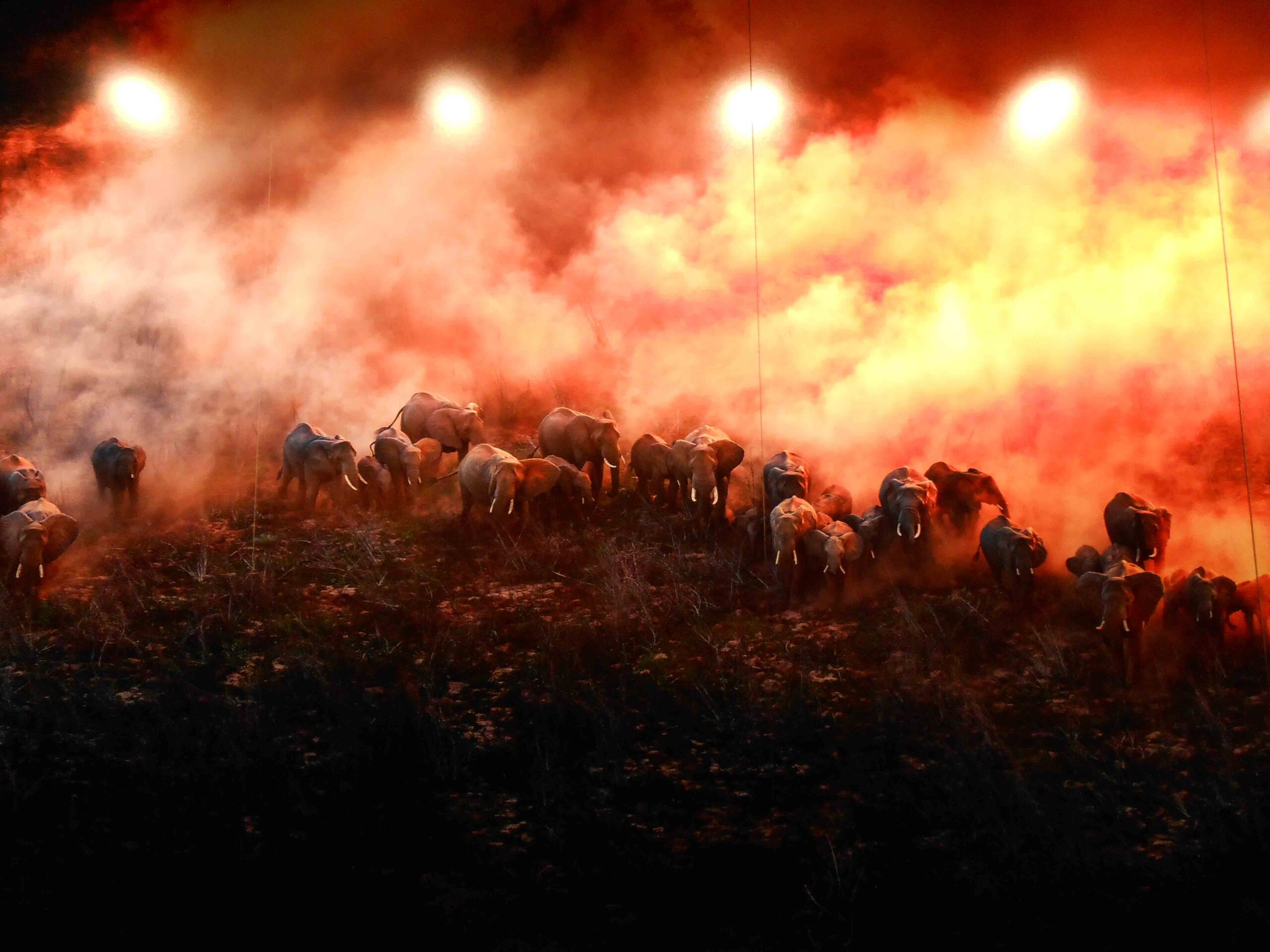 Luo Hong, el artista que atrapa con su lente la riqueza natural - El ...