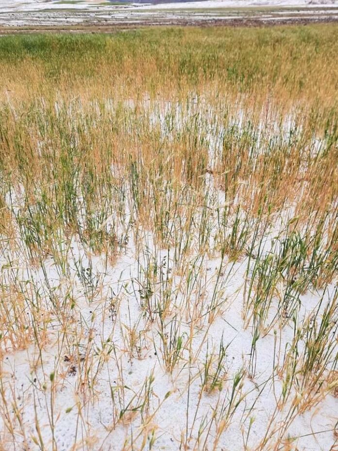 Declaran como zona de desastre natural al municipio de Arque de ...