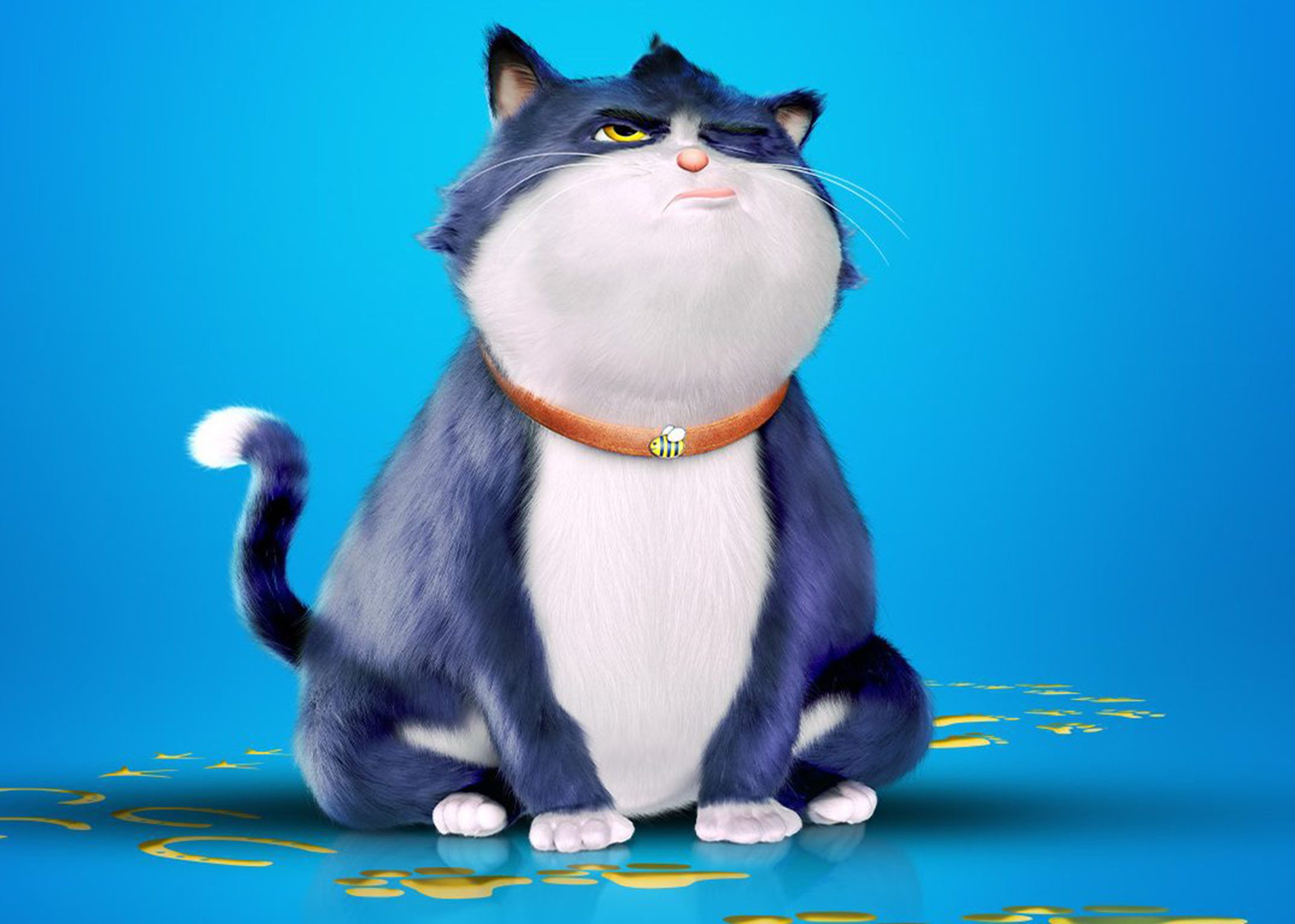 UN GATO CON SUERTE - El Diario - Bolivia