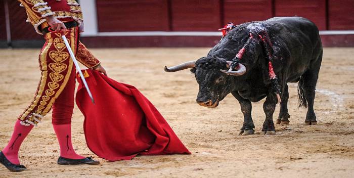 Congreso aprueba prohibición de corrida de toros en Colombia - El ...