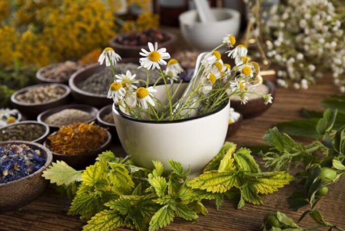 7 INFUSIONES TRADICIONALES PARA CURAR GRIPES Y RESFRIOS - El Diario ...