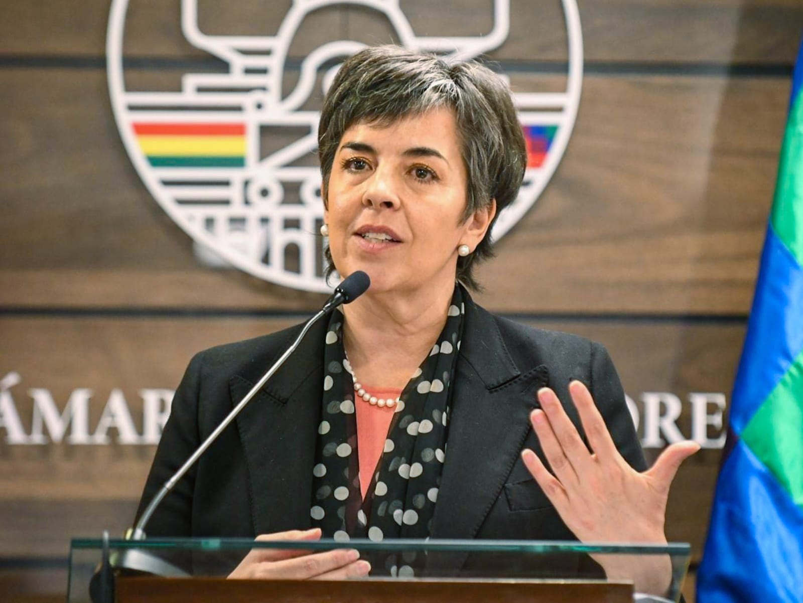 Discursos que alientan división son peligrosos - El Diario - Bolivia