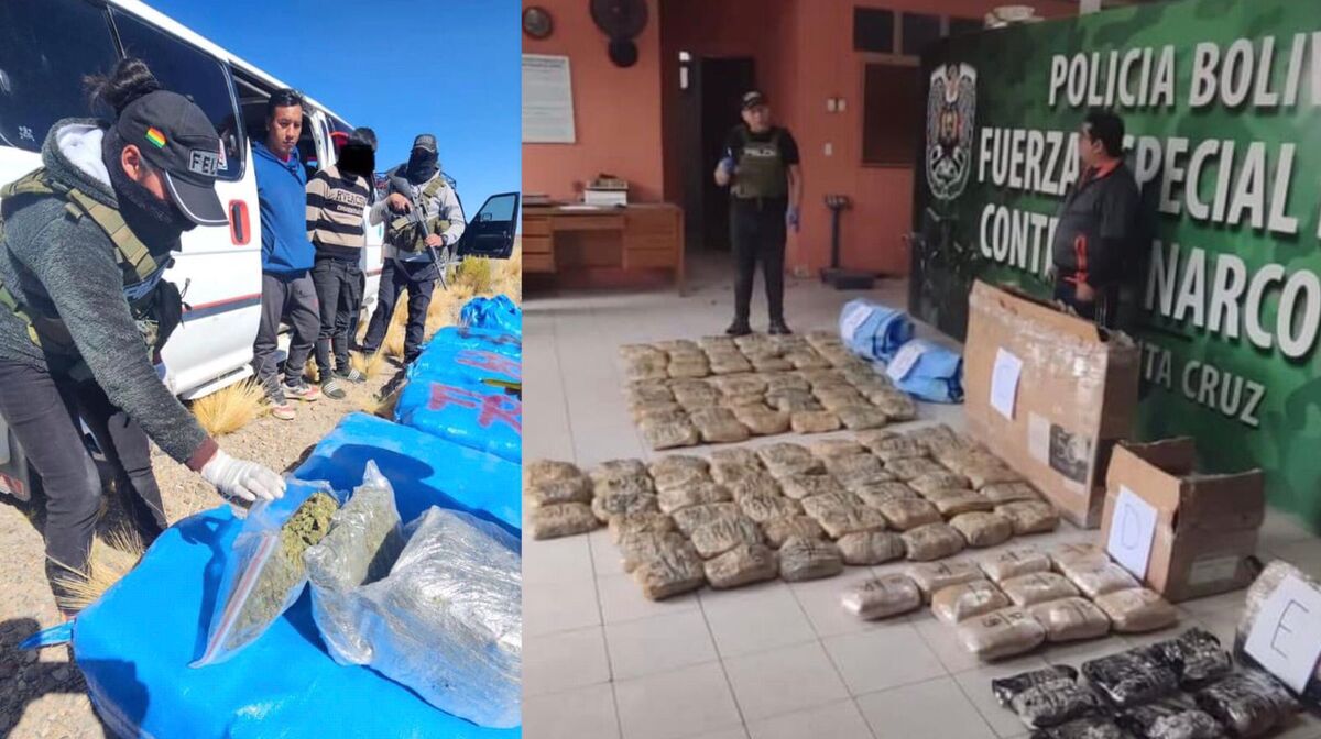 Incautan Más De 300 Kilos De Marihuana El Diario Bolivia