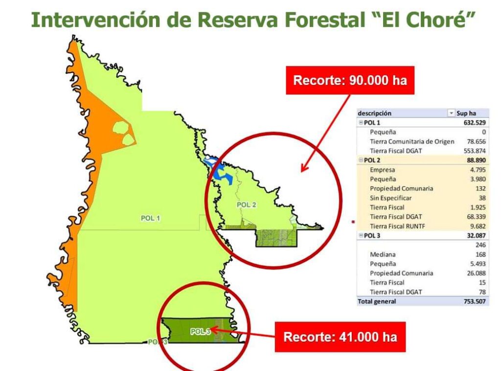 Intervienen por decreto la reserva forestal "El Choré" - El Diario ...