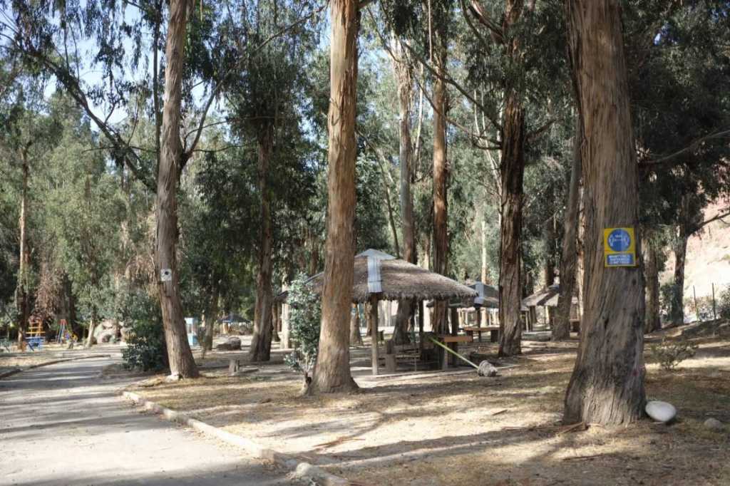 Parque Bartolina Sisa será regado con “agua viva” - El Diario - Bolivia