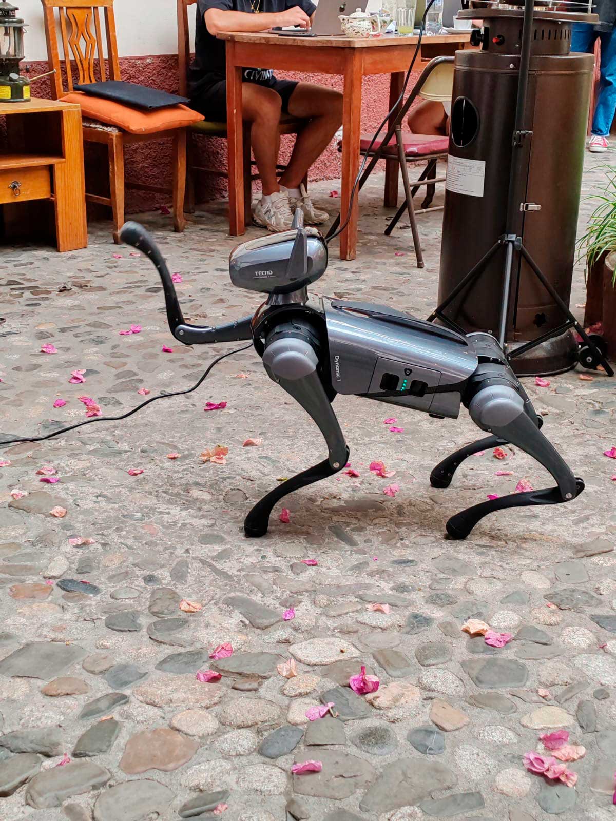 Teggie el perro robot de TECNO - El Diario - Bolivia