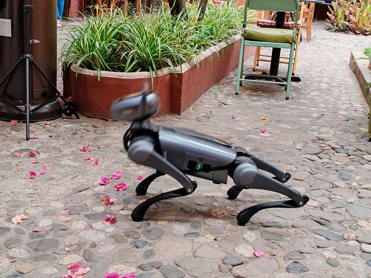 Teggie el perro robot de TECNO - El Diario - Bolivia