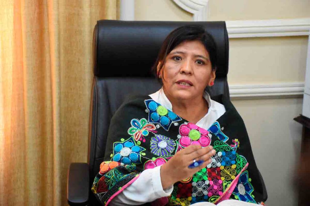 TSE se prepara para reconocer nueva presidencia en el MAS - El Diario ...