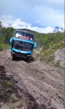 Salidas a Apolo suspendidas: choferes denuncian peligro extremo en la ...