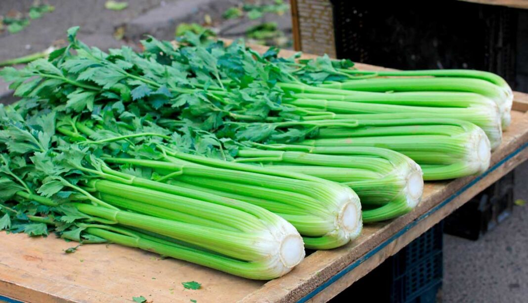 APIO: PROPIEDADES Y BENEFICIOS - El Diario - Bolivia