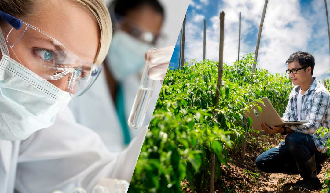 Comienza la convocatoria a LEGADO 2025, el programa de Bayer y Endeavor ...