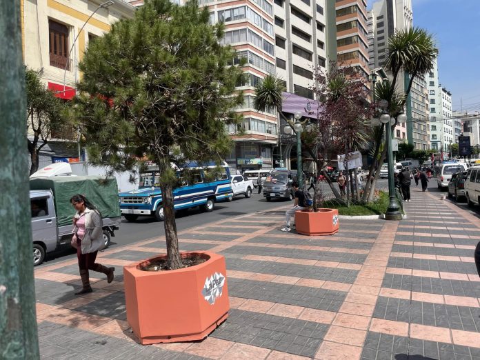 Experto pide que intervención de El Prado sea “seria y responsable ...