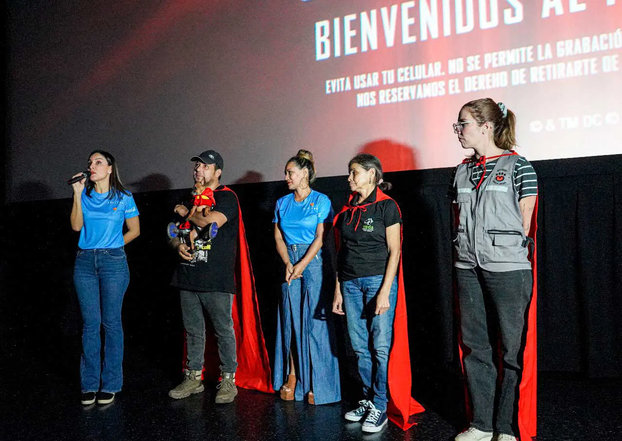 Superman, la esperanza levanta vuelo en la gran pantalla - El Diario ...