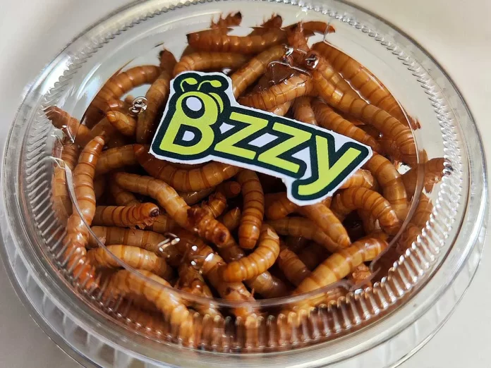 Dos emprendimientos bolivianos entre los ganadores de Legado 2025 de ...