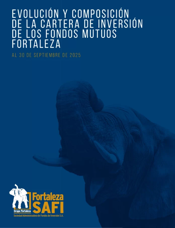 Fortaleza SAFI - El Diario - Bolivia