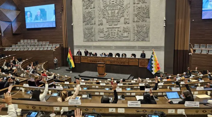Diputado denuncia exclusión de APB-Súmate de la conformación de ...