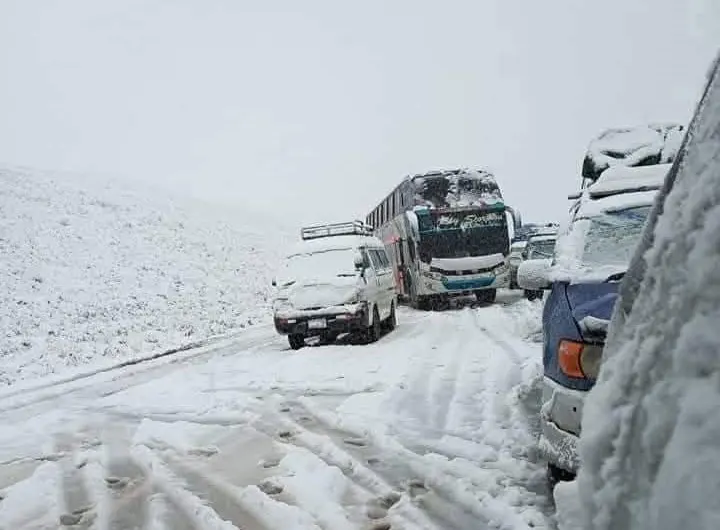 Suspenden salidas a Nor y Sud Yungas - El Diario - Bolivia